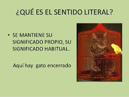 Concepto de literal - Definición en DeConceptos.com